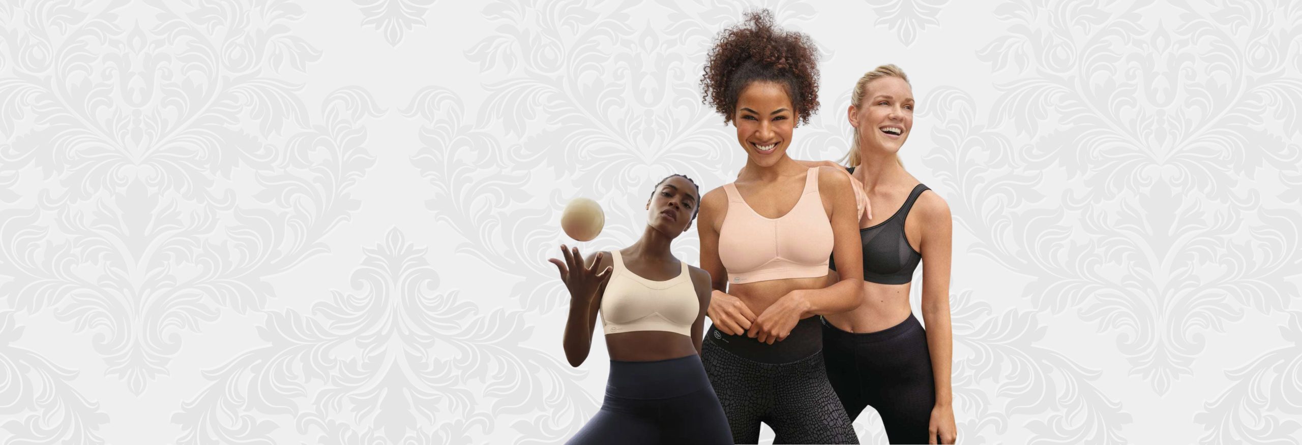 Toronto Bra Store Online Lingerie Shop